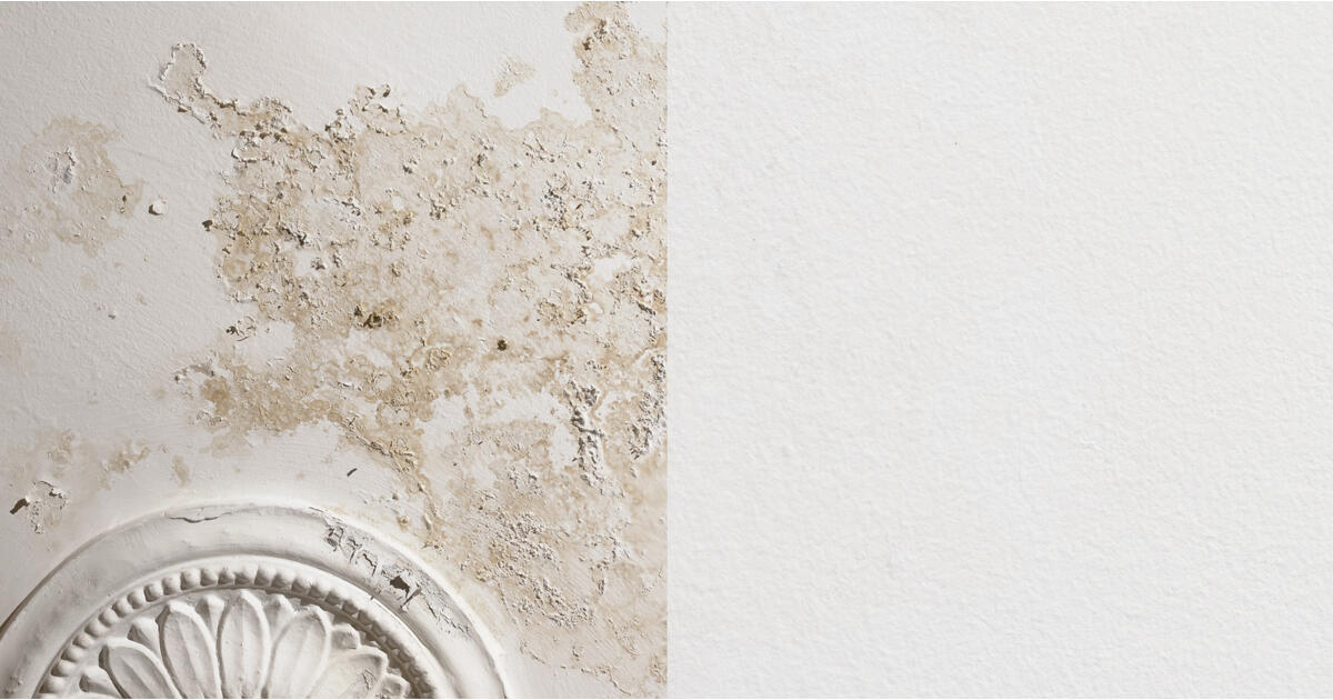 How to effectively block water-soluble stains on wall surfaces | Helios ...